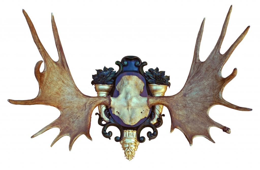 Carved Taxidermy trophy shield base