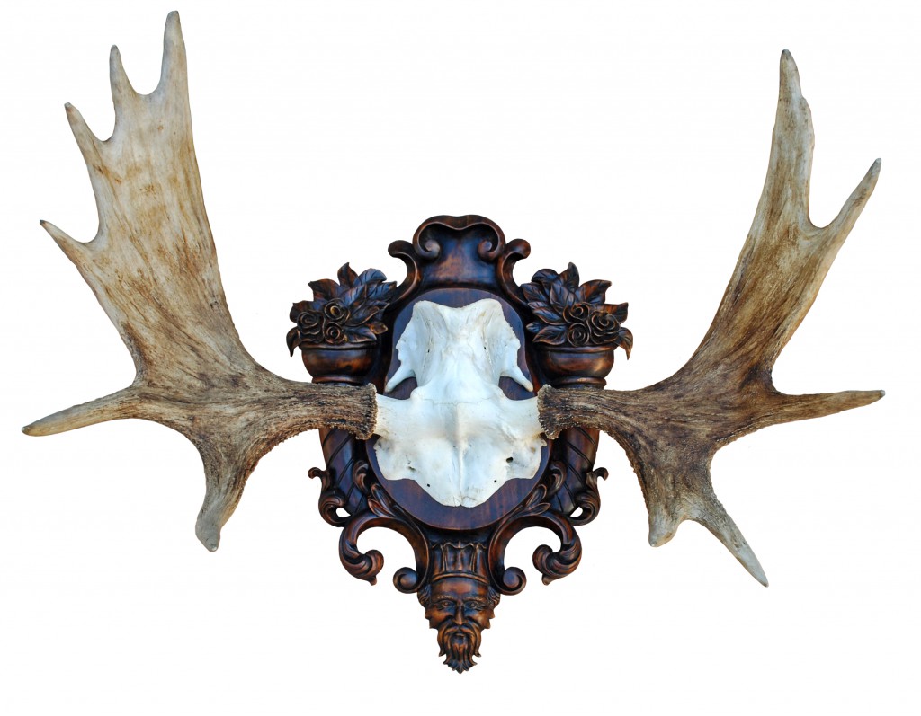 Carved Taxidermy trophy shield base